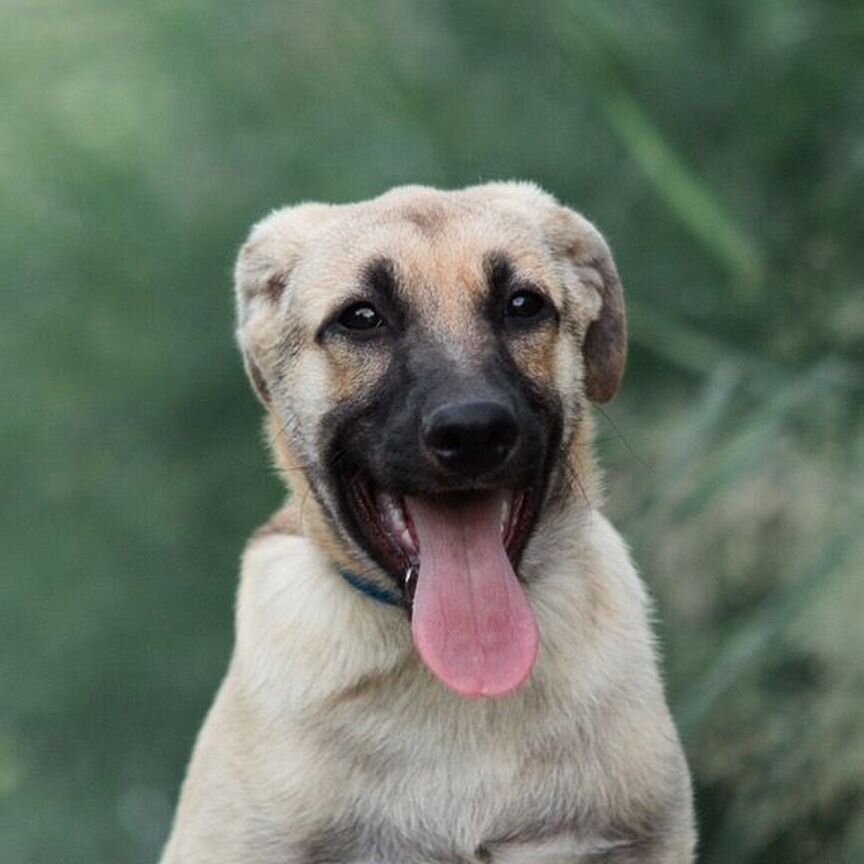 Мальчик 6 мес