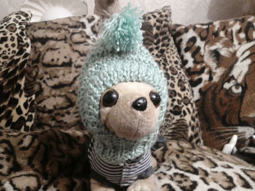 Вязаные шапки для собак