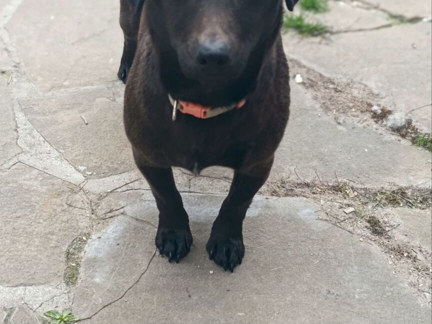 Потрясающая Фанни ждёт свою семью