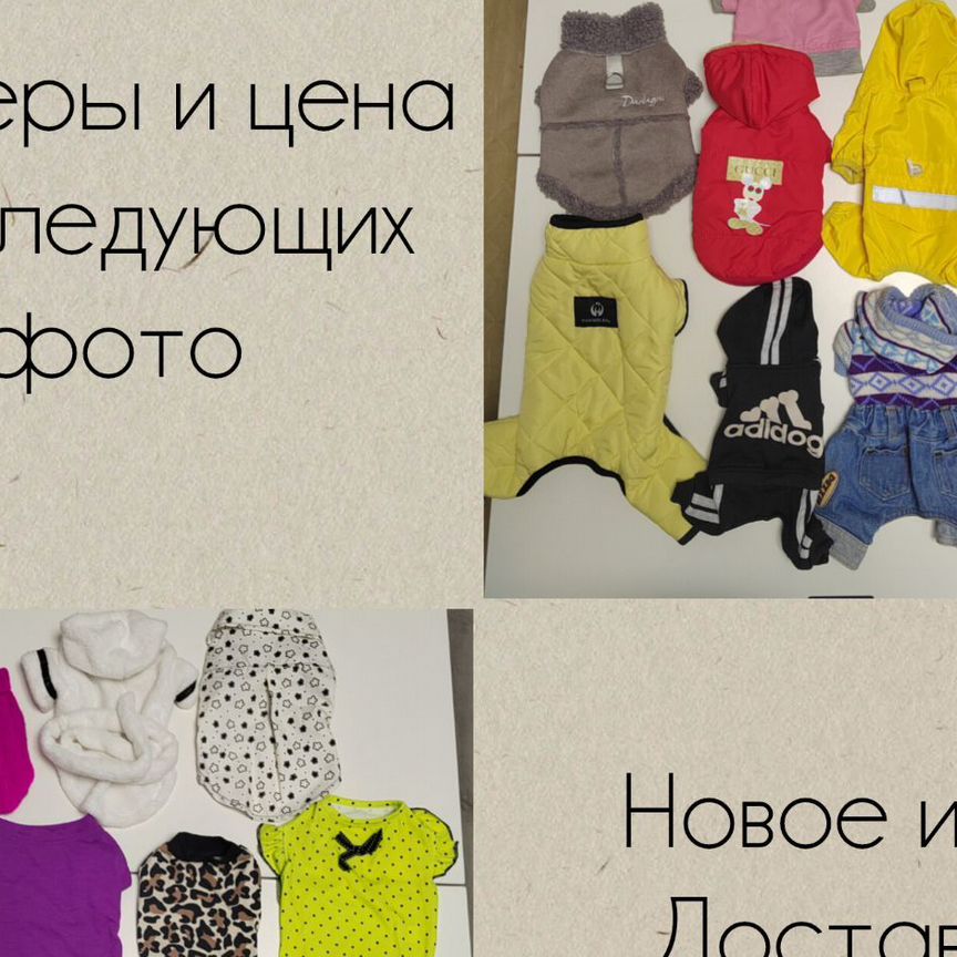 Одежда для маленьких собак