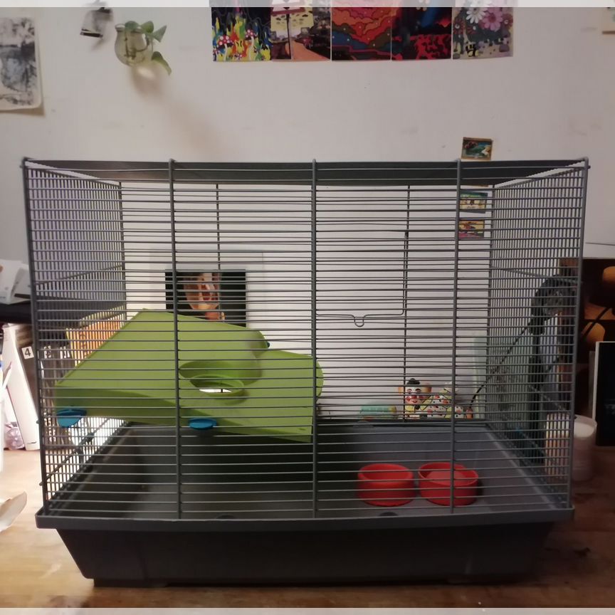 Клетка для грызунов