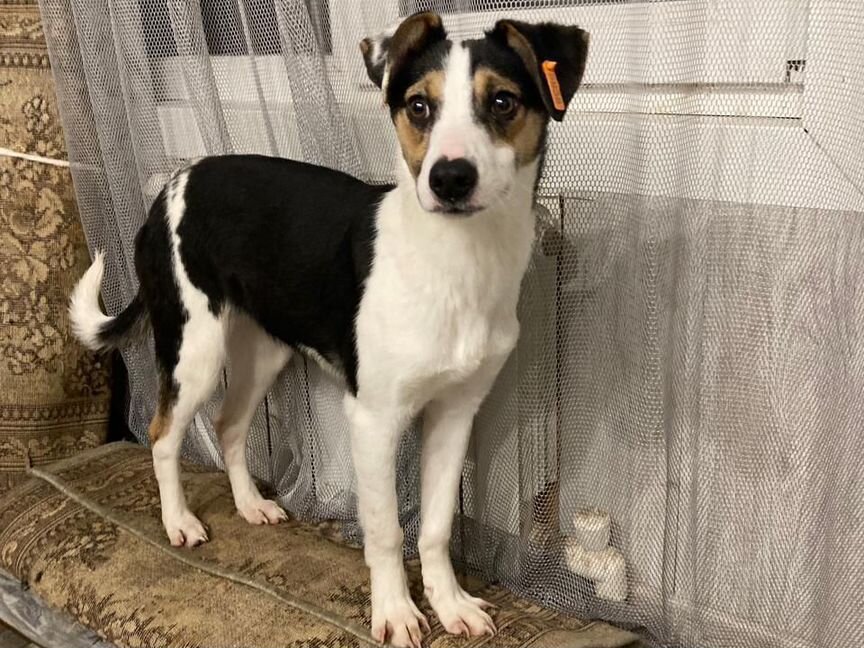 Красотулечка-веселушка, 6-7 мес