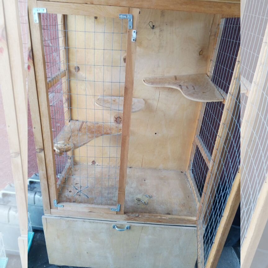 Ветрина клетка