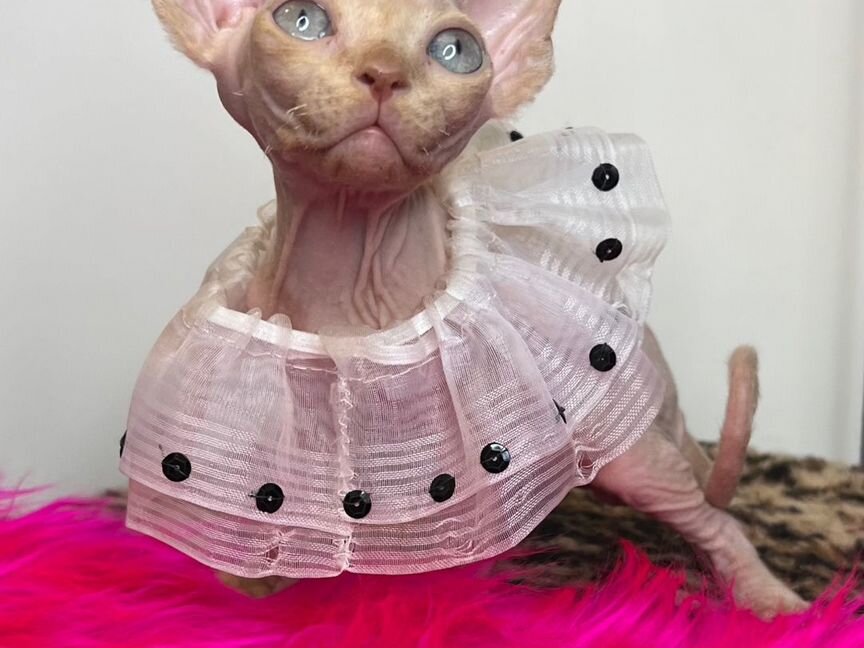 Мальчик-с-пальчик )