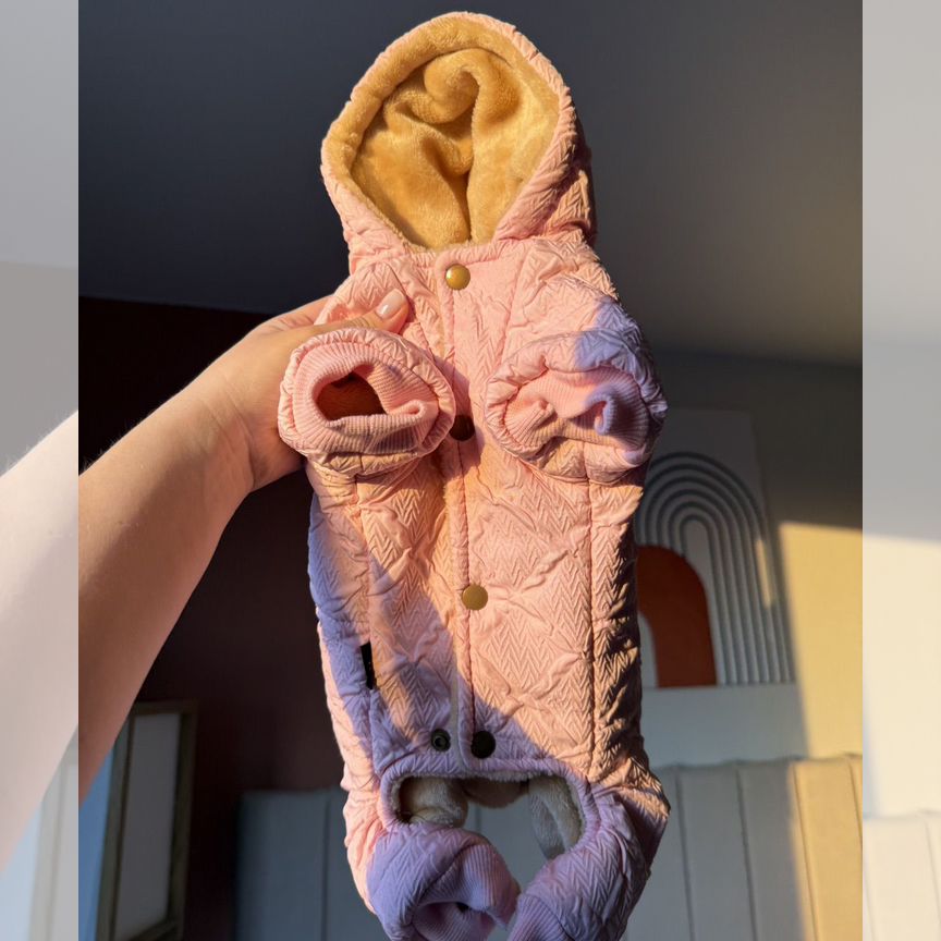 Одежда для собаки мелких пород