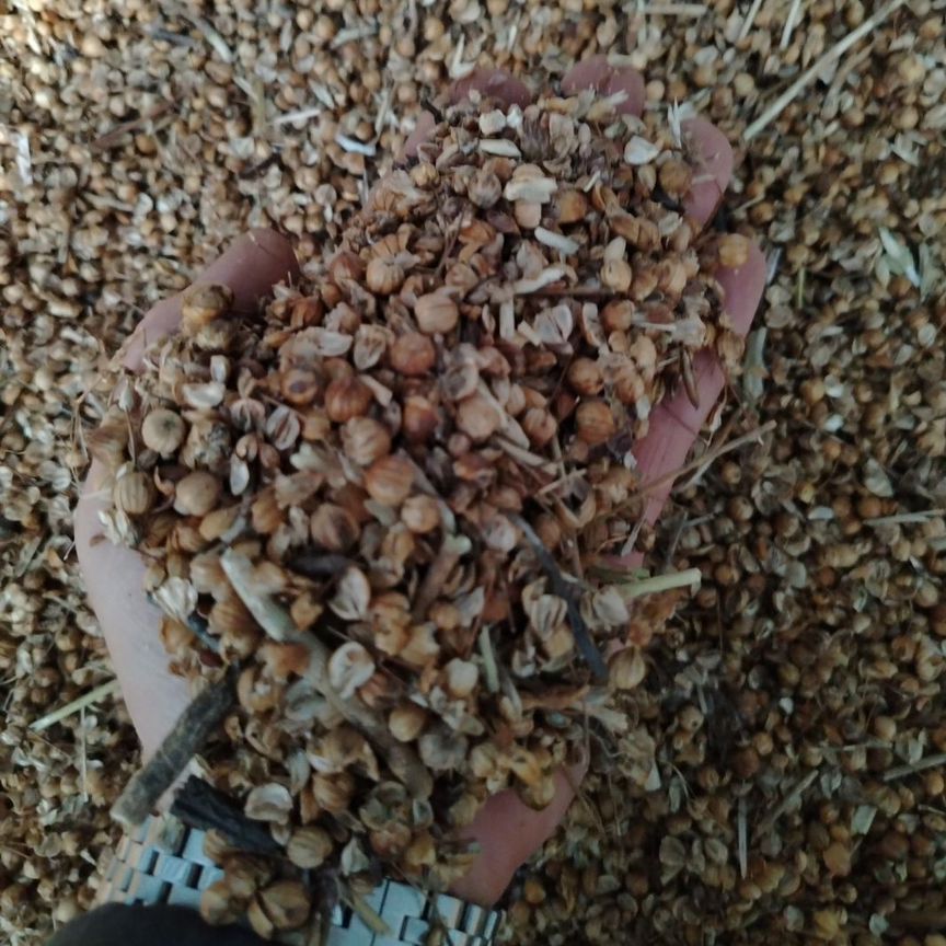 Отходы льна