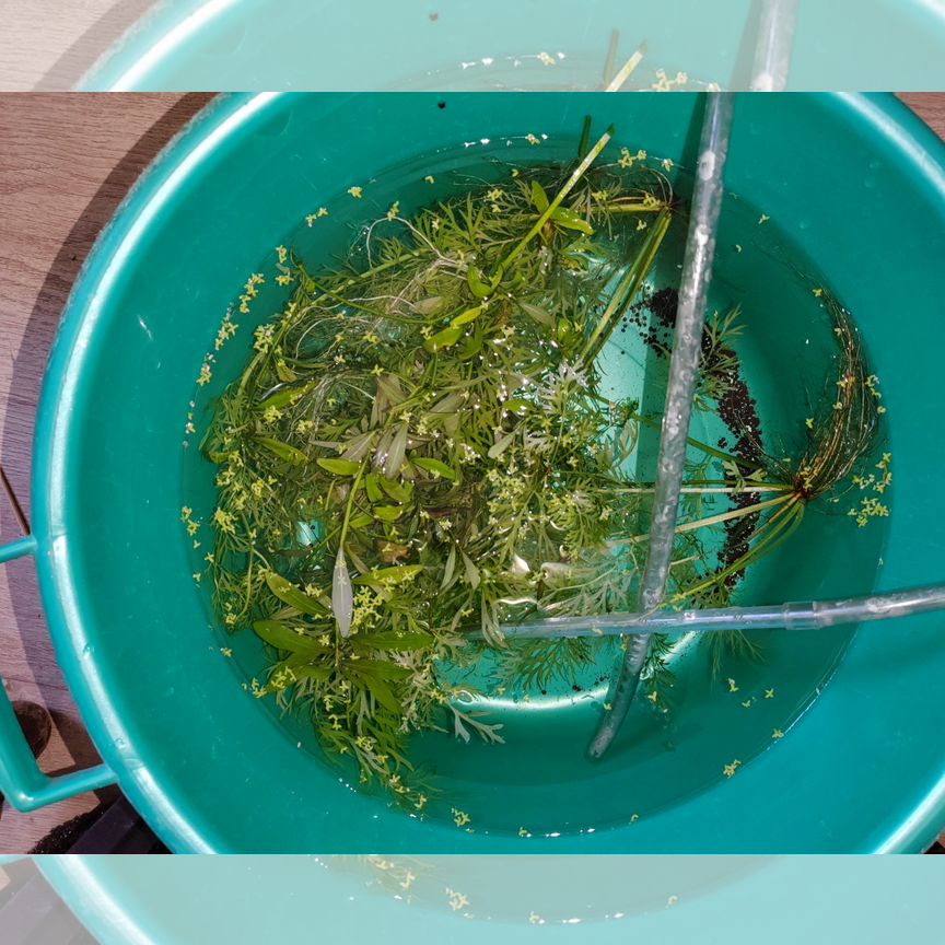 Аквариумная прополка