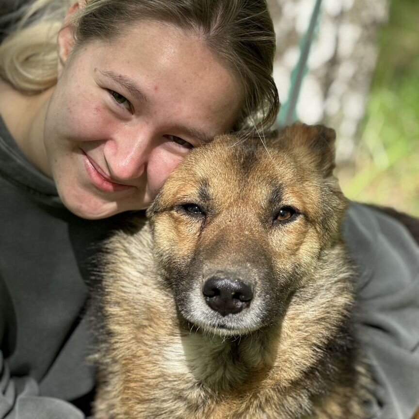 Очаровательный, спокойный и молодой пёсик из приют