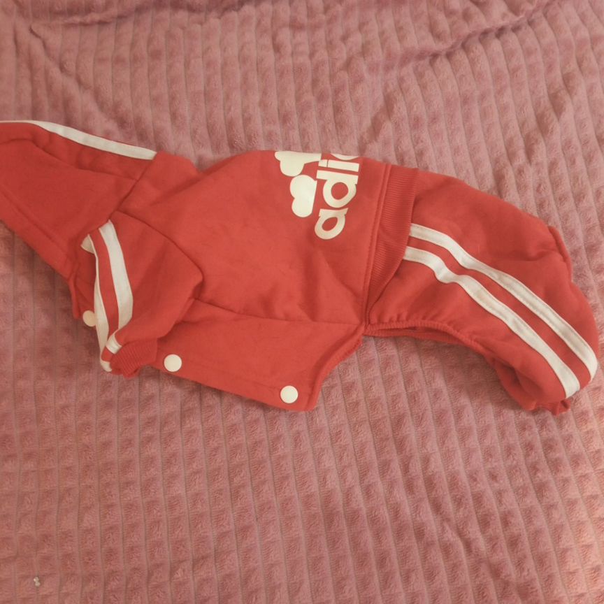 Одежда для собак средних пород