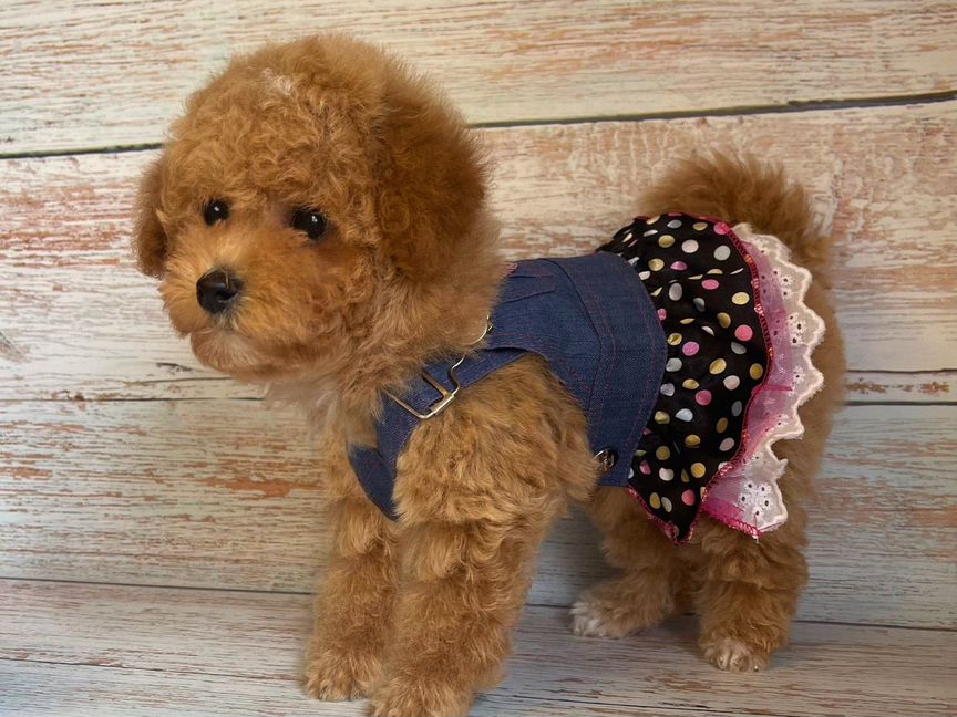 Одна миллион