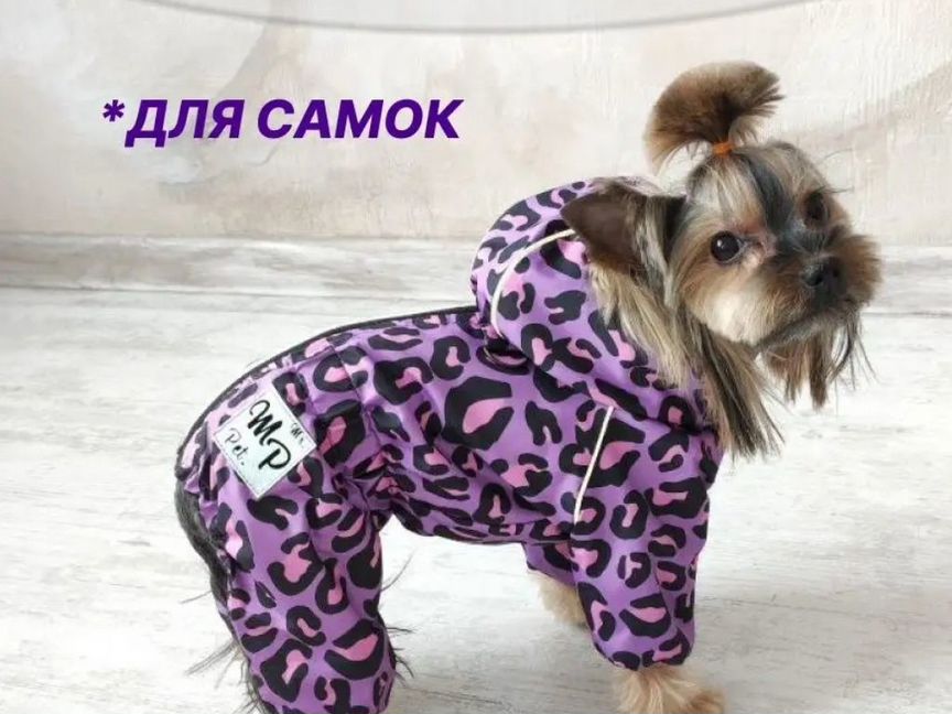 Дождевик для маленьких собак