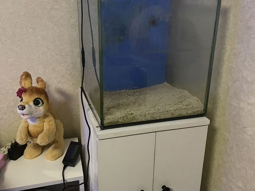 Аквариум морской