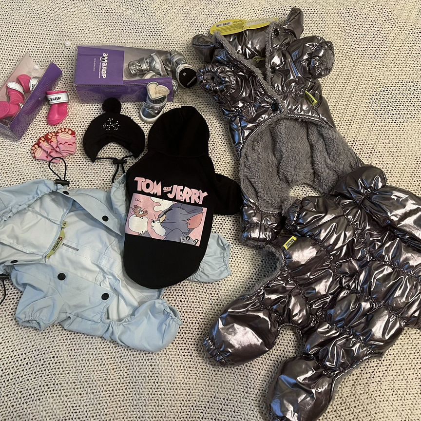 Одежда для маленьких собак