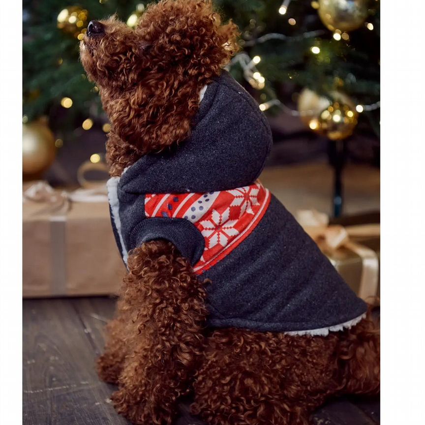 Куртка для собак средних пород