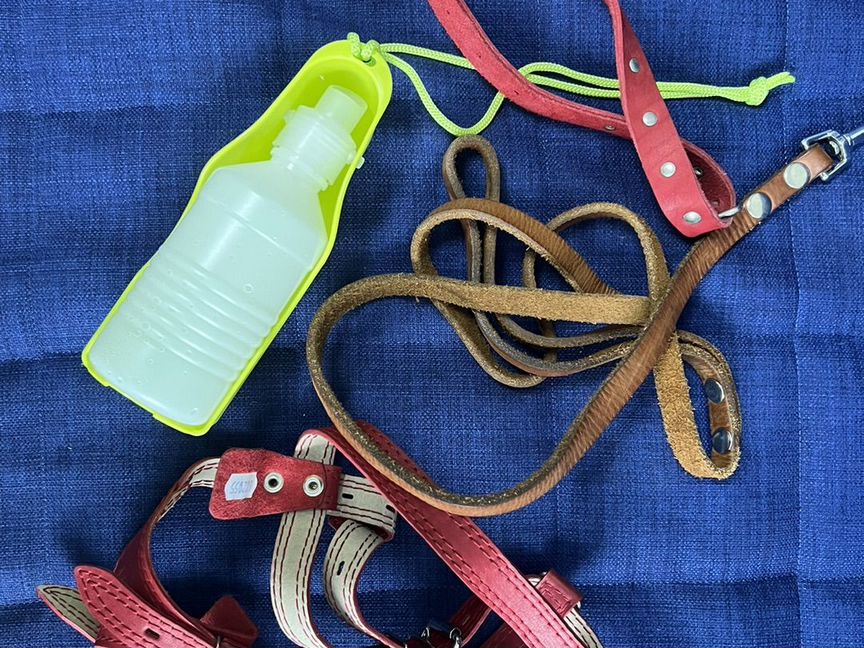 Амуниция для собак