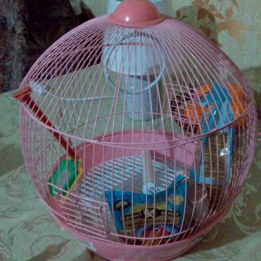 Клетка для попугаев. Корм в придачу