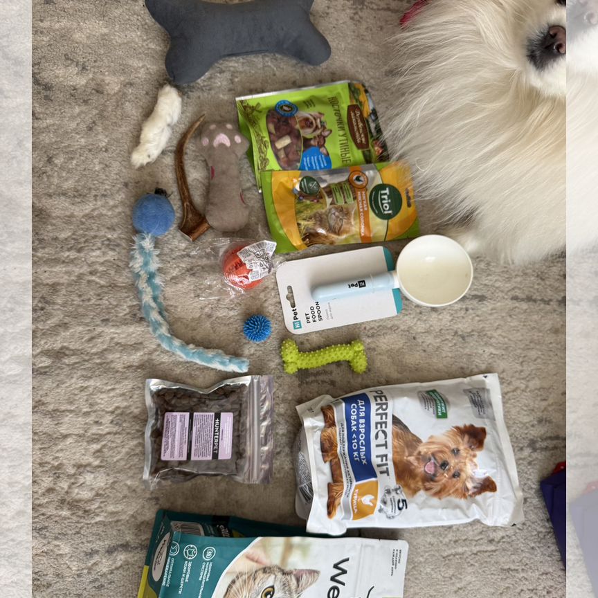 Товары для собак