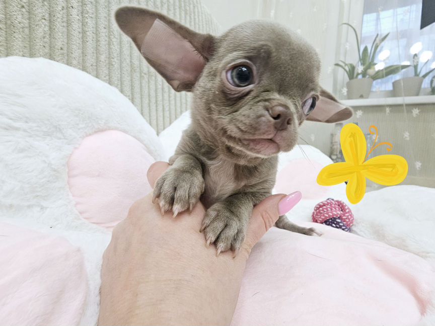 Мальчик с крутой мордашкой