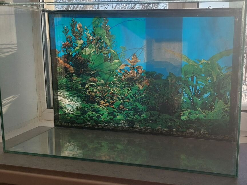 Аквариум 100л