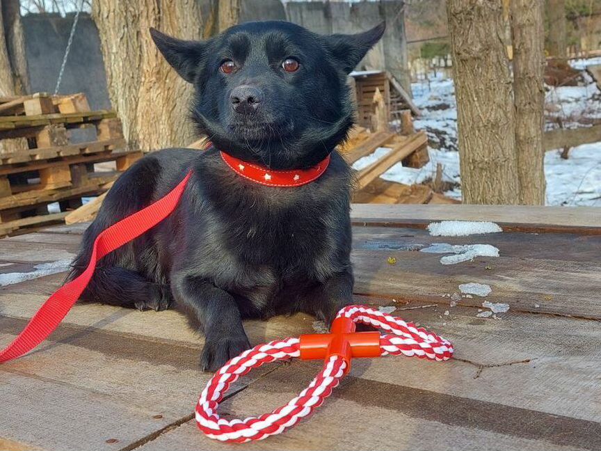 Маленький мальчик в добрые руки