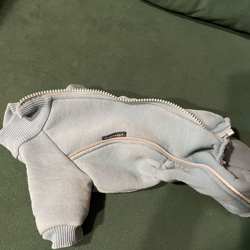 Костюм для маленькой/средней собаки