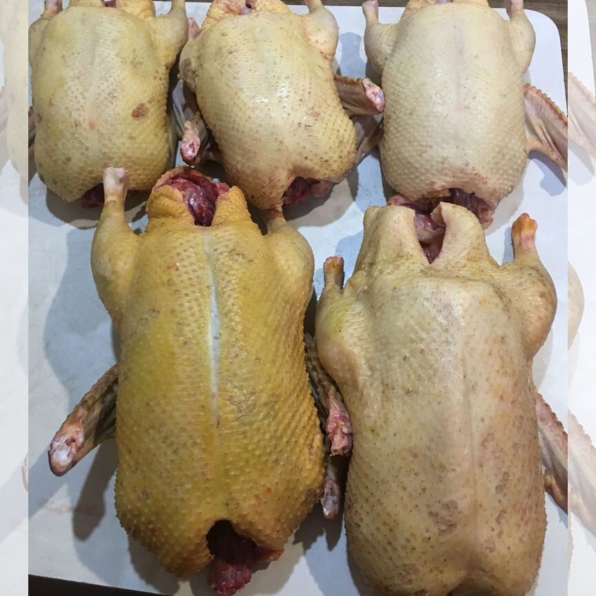 Продам уток