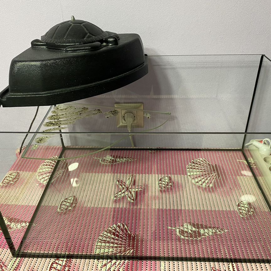 Акавриум для черепах