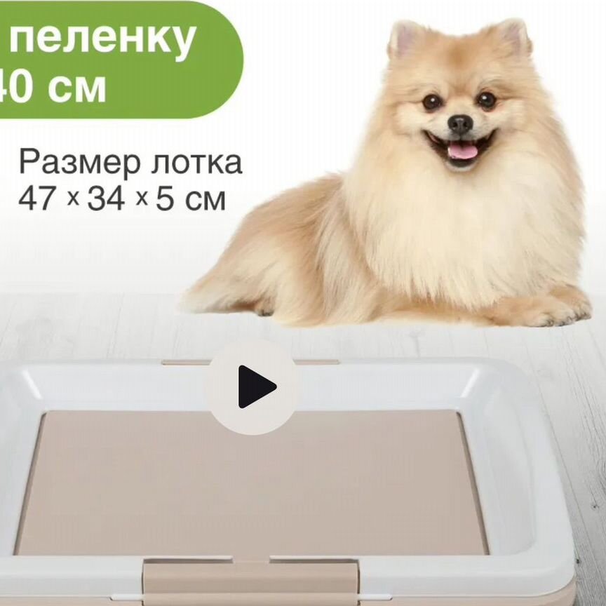 Лоток для собак под пеленку