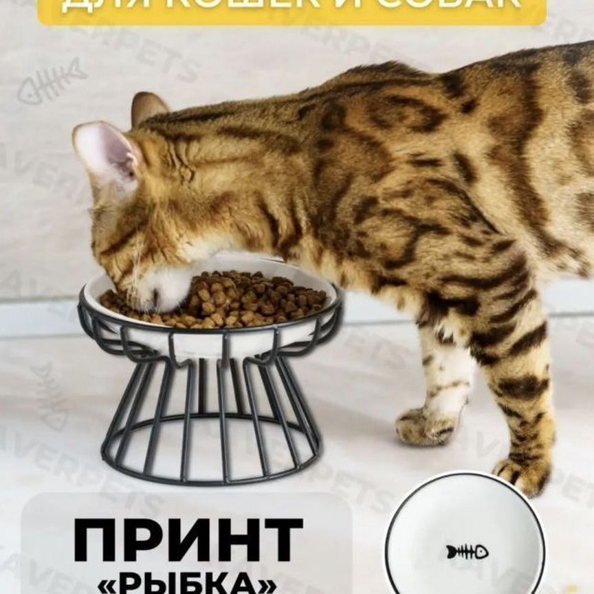 Миска керамическая на подставке