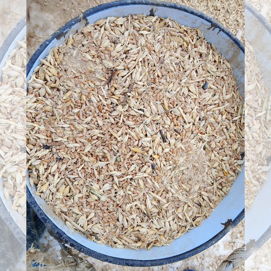 Зерноотходы