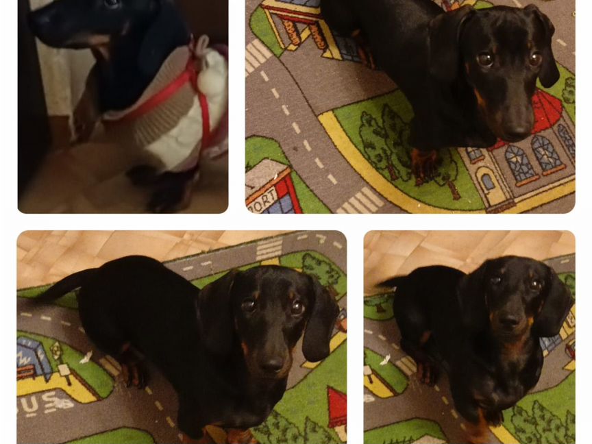 Нужен новый дом