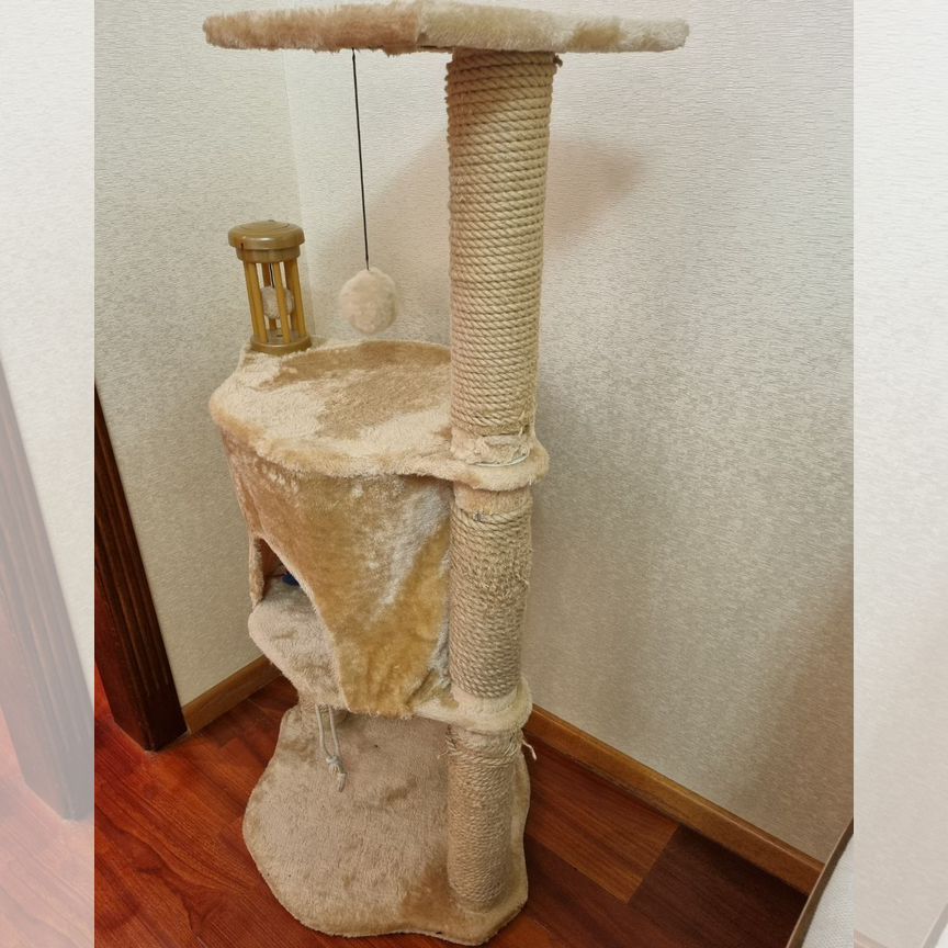 Когтеточка для кошек домик