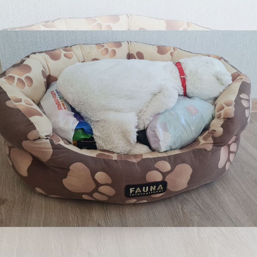 Собачьи принадлежности