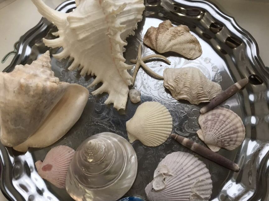 Ракушка для аквариума