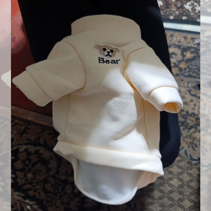 Британский короткошёрстный котёнок