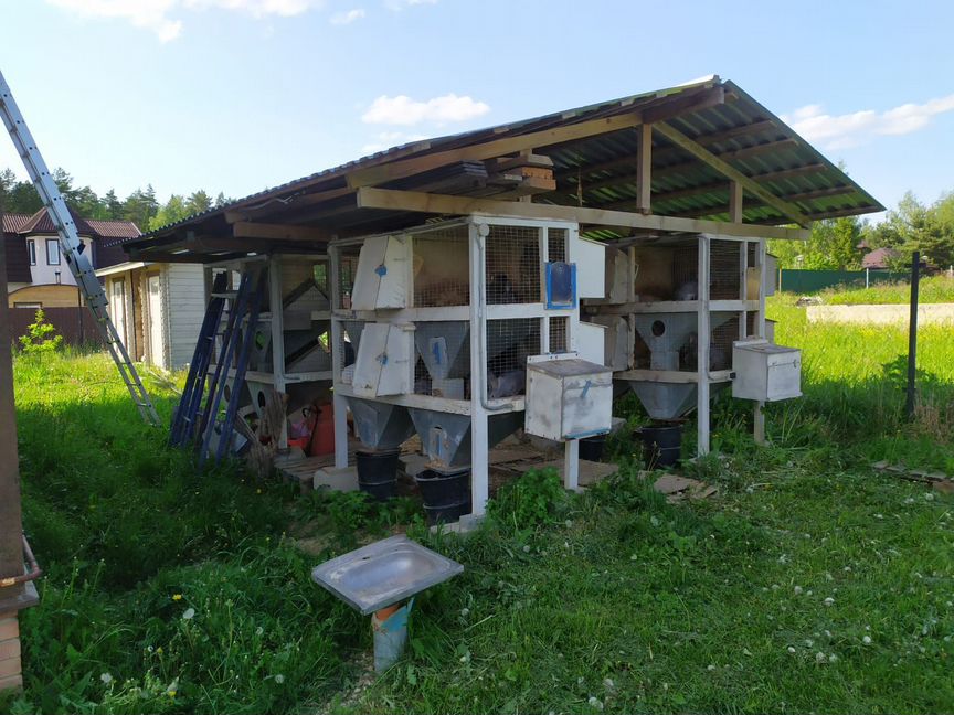 Уличные клетки для кроликов модели Цветкова