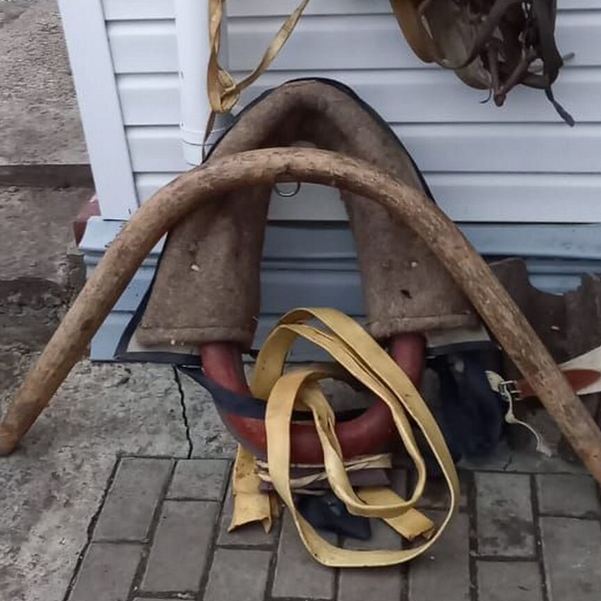 Упряжь Для лошади