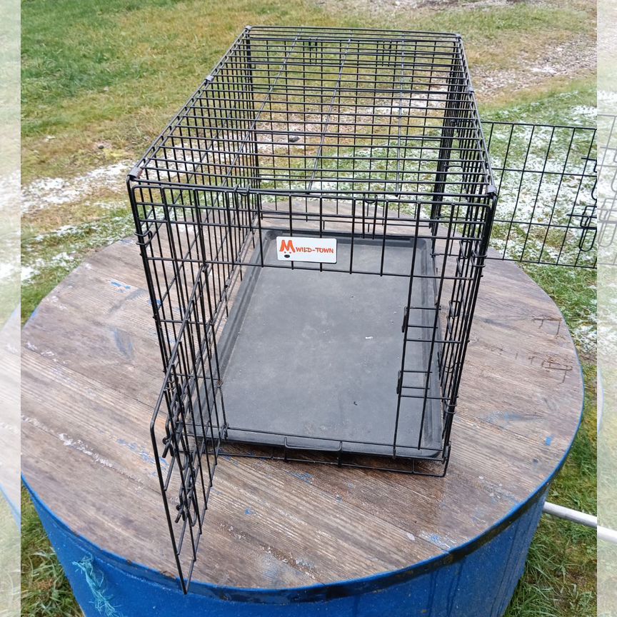 Товары для животных