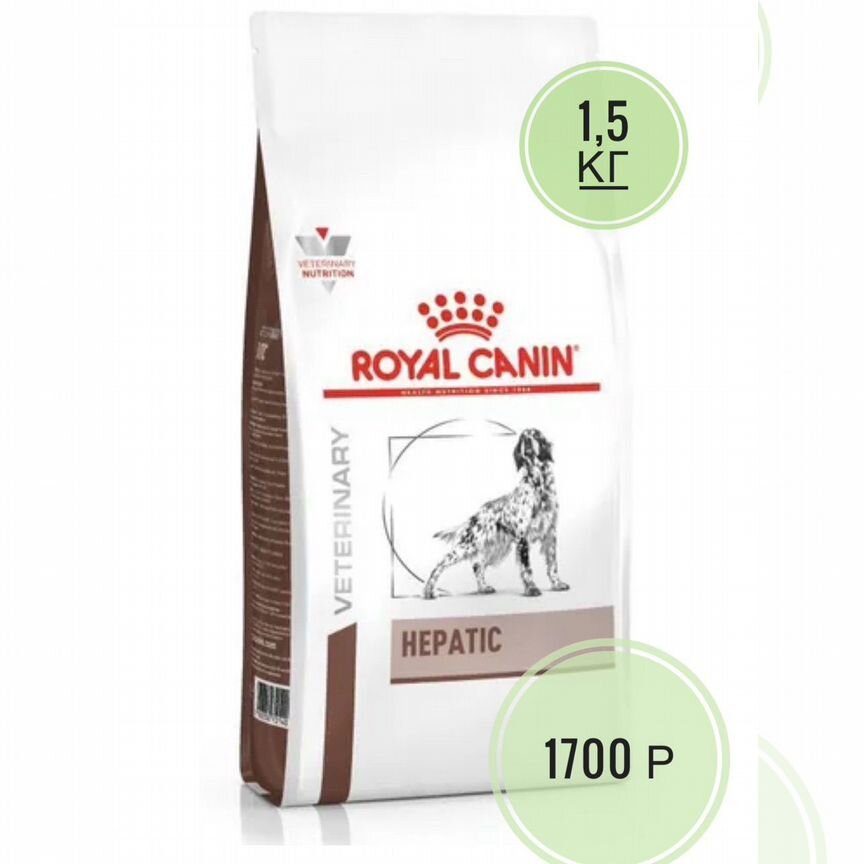 Корм для собак