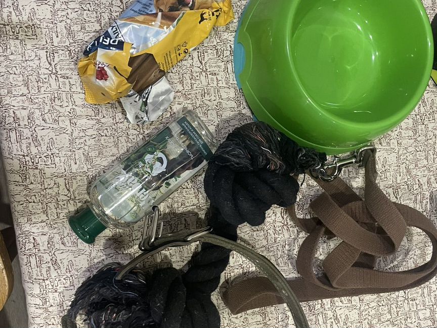 Домашние животные собаки щенки