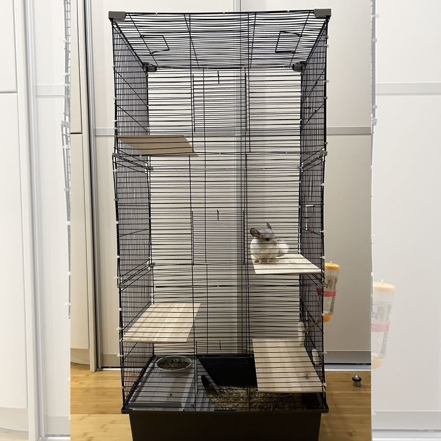 Клетка для грызунов большая