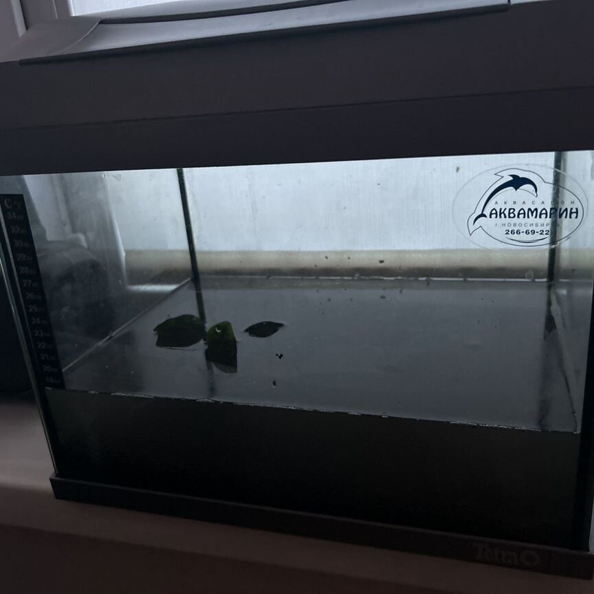 Аквариум