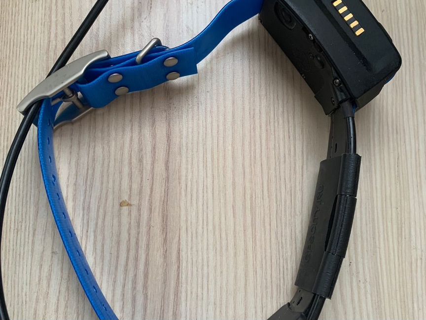 Ошейник garmin t5 европа