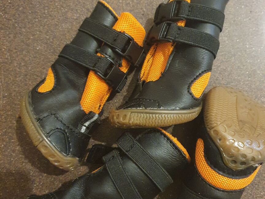 Ботинки для собак