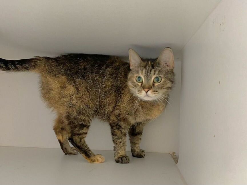 Никто не любит