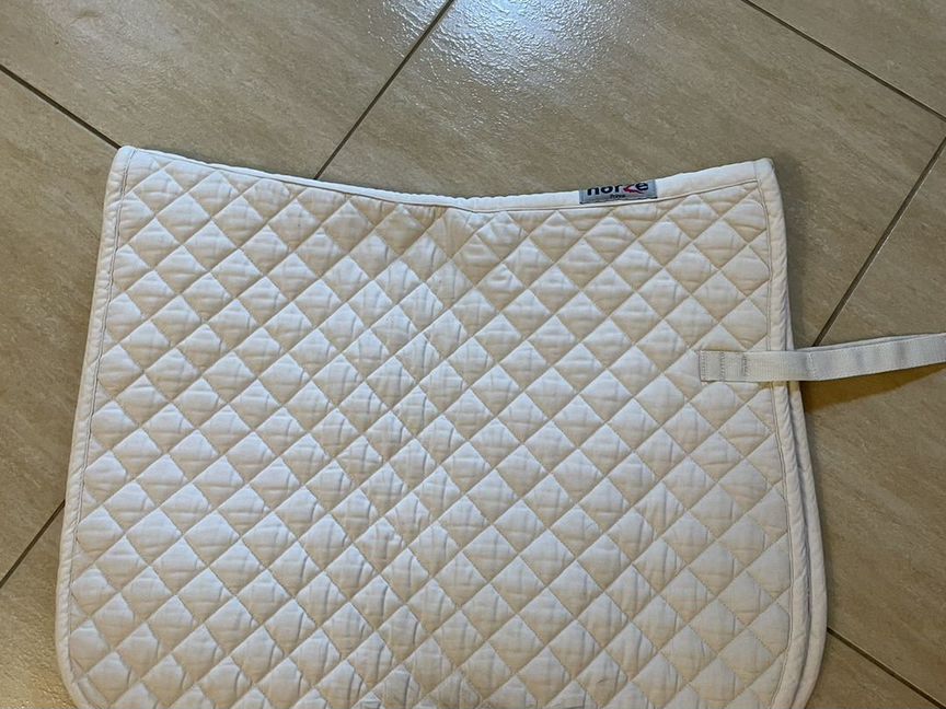 Вальтрап выездковый