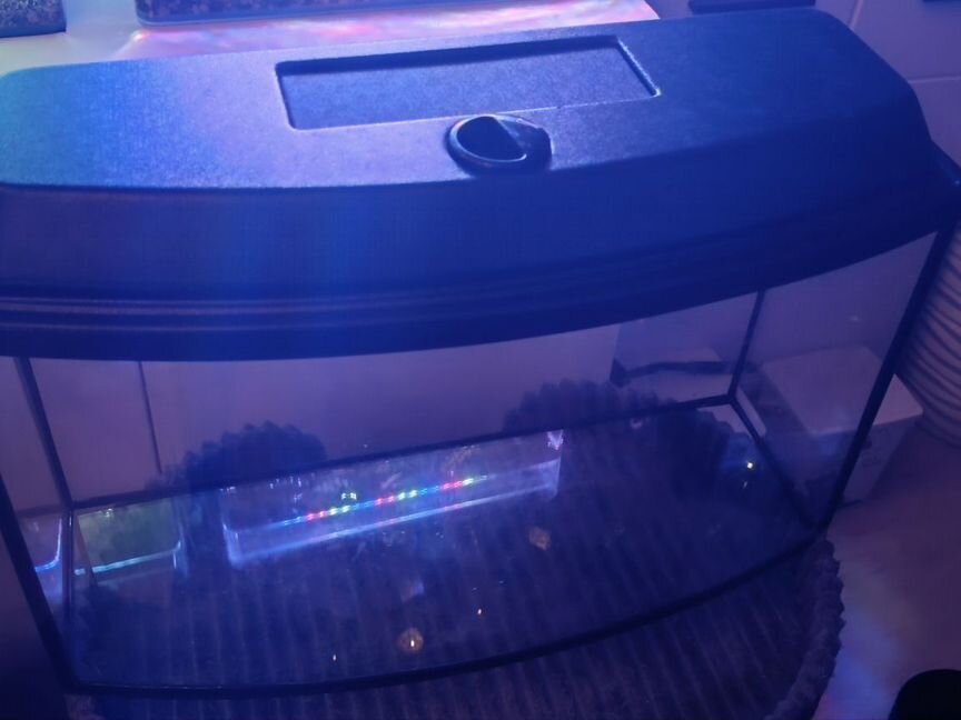 Аквариум телевизор с крышкой, 45 литров