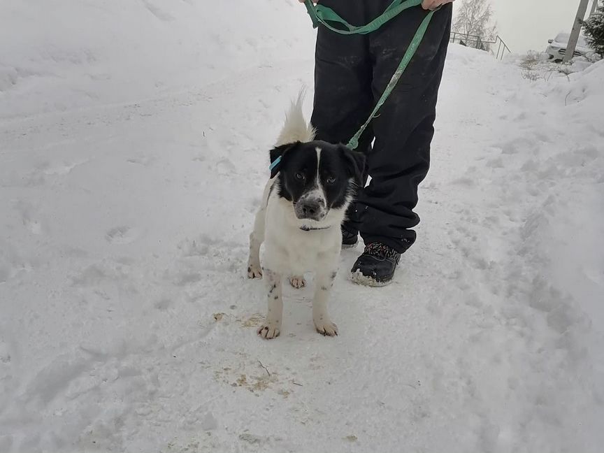 Мелкашику Риччи очень нужна семья