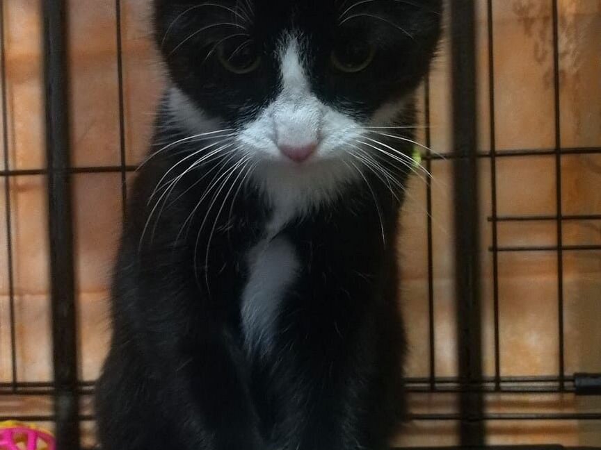 Малышка устала сидеть в клетке