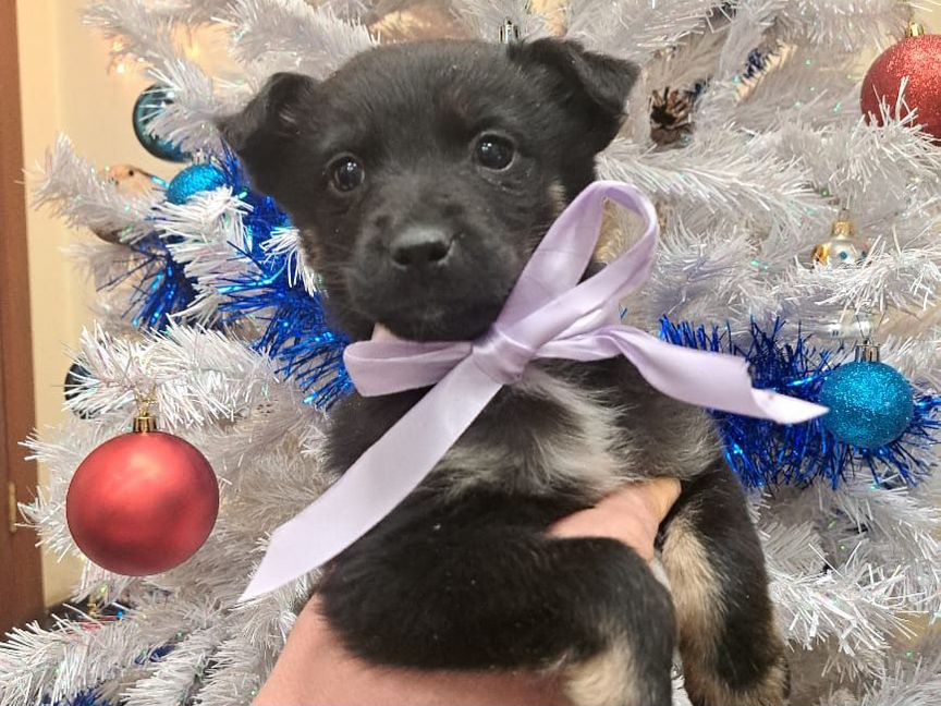 Малышку выбросили на улицу